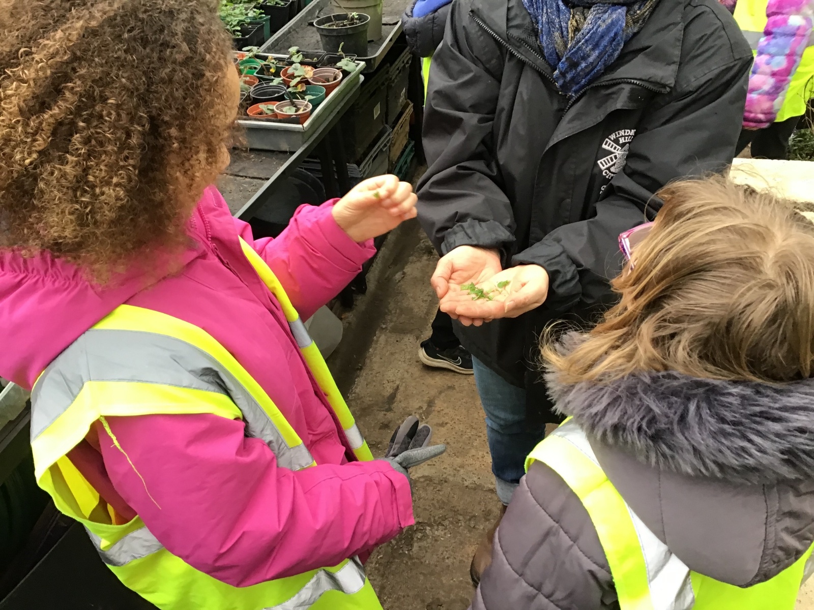 Ashton Gate Primary School - Windmill Hill City Farm Trip