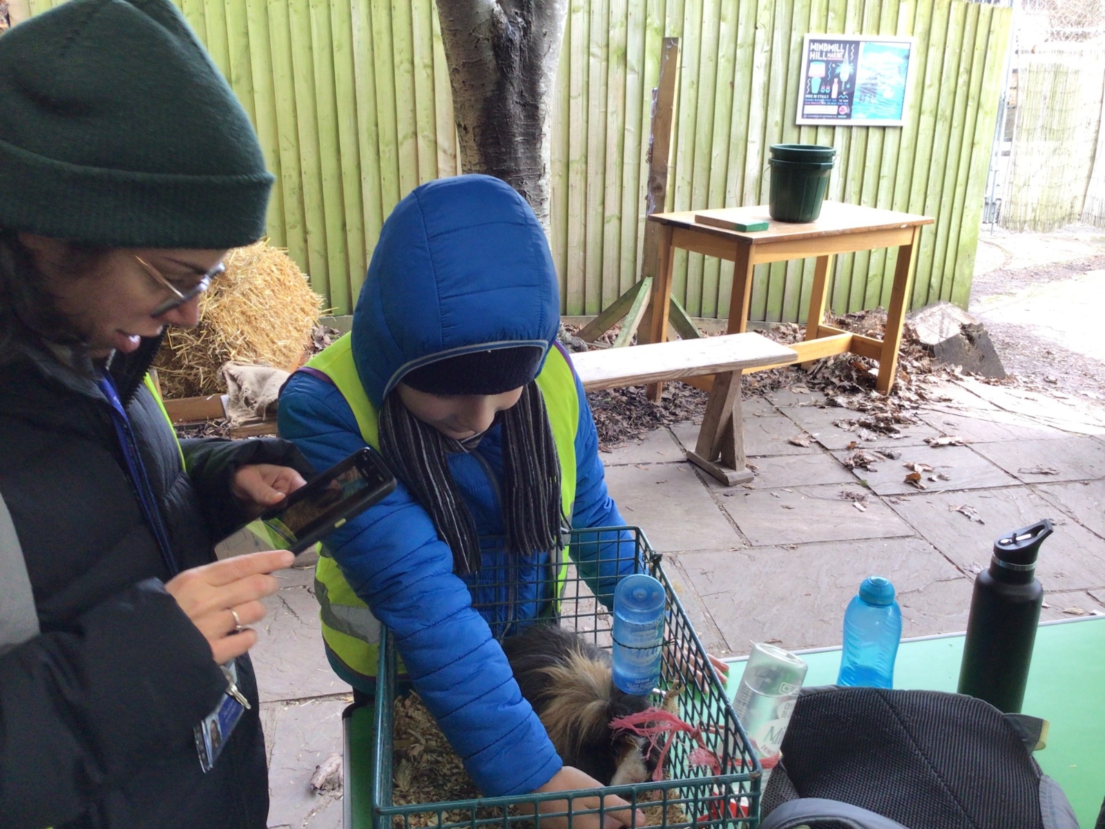 Ashton Gate Primary School - Windmill City Farm