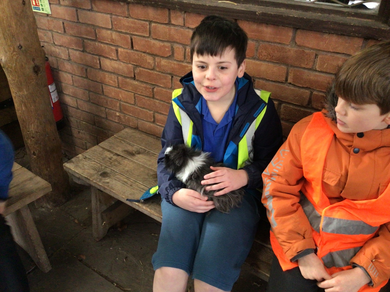 Ashton Gate Primary School - Windmill City Farm