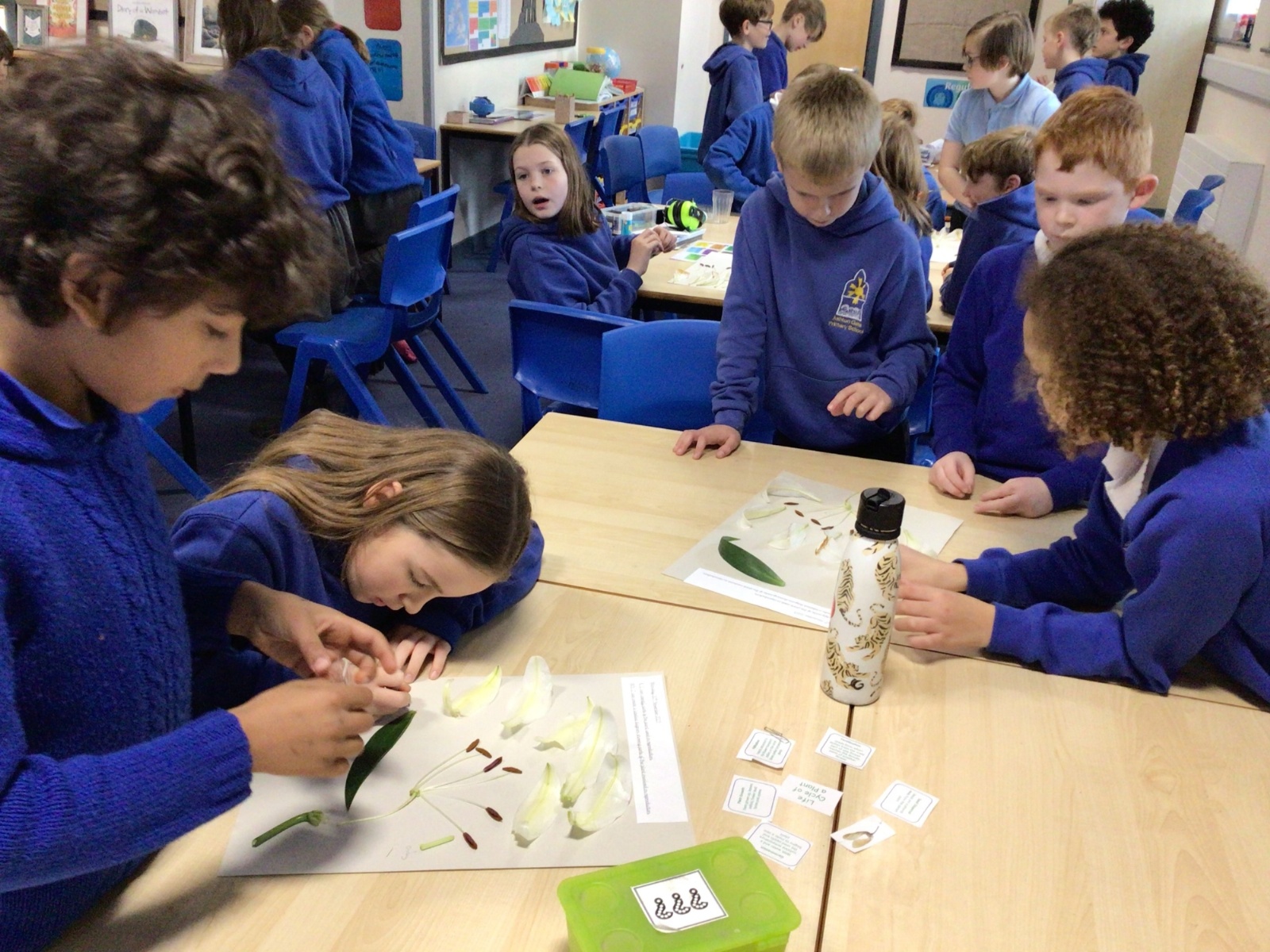 Ashton Gate Primary School - Science