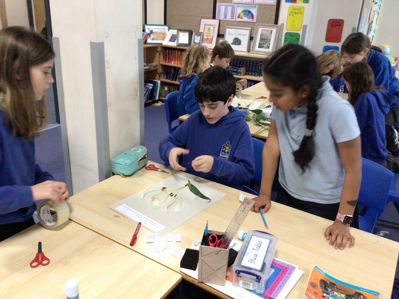 Ashton Gate Primary School - Science