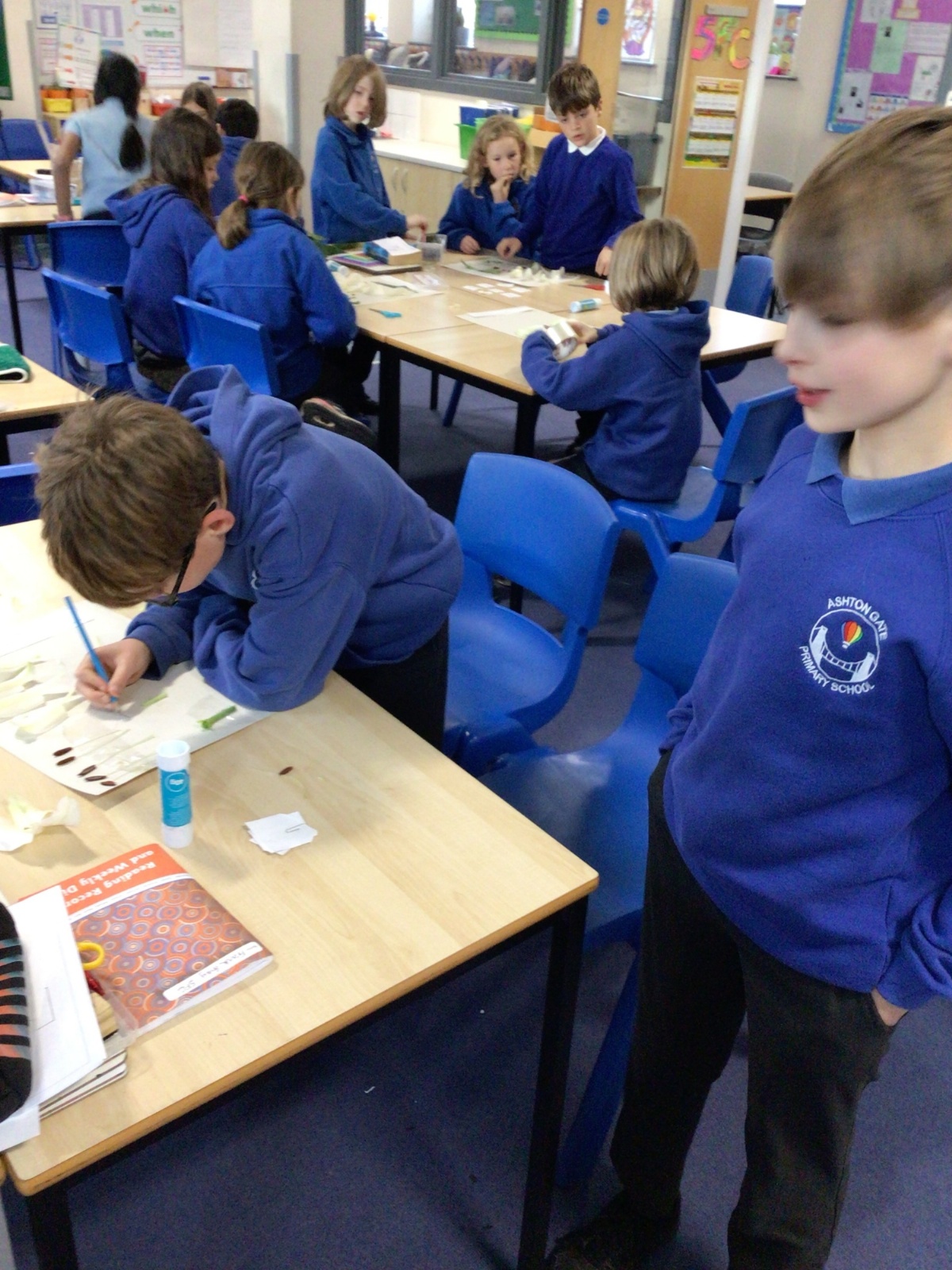 Ashton Gate Primary School - Science